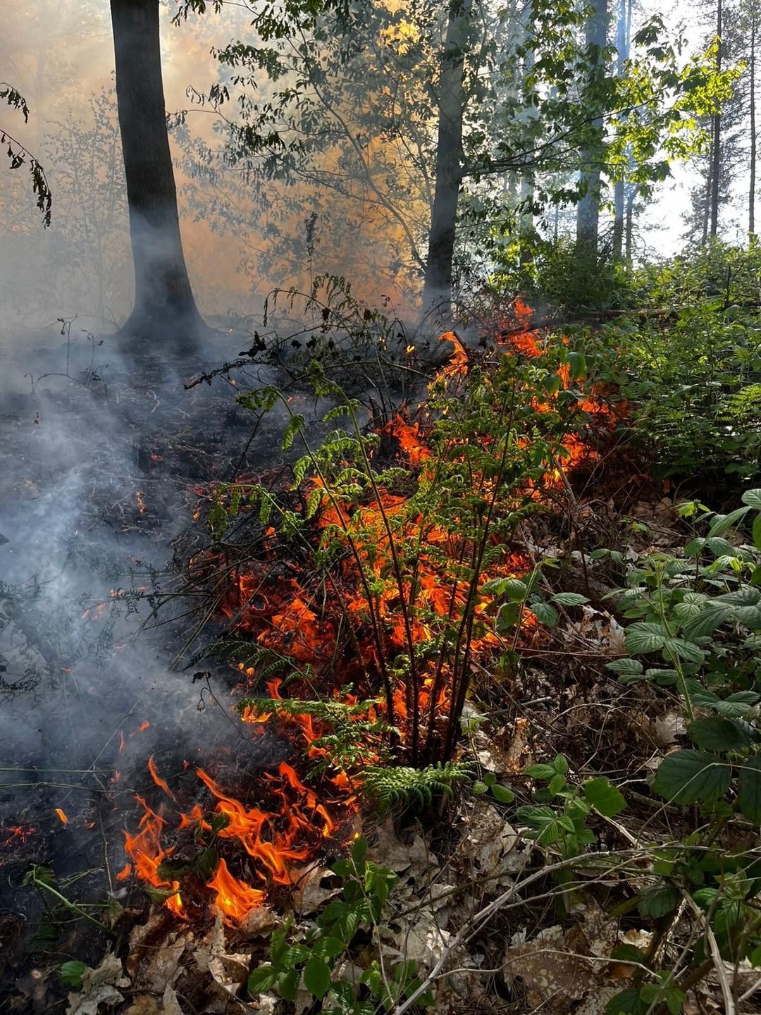 Cheshire Fire & Rescue Service - Incidents