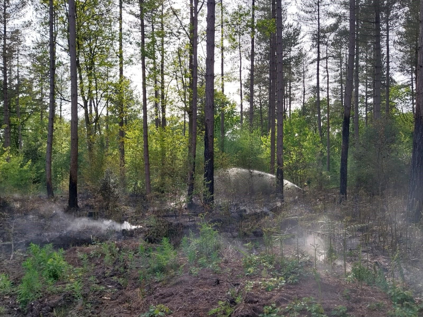 Cheshire Fire & Rescue Service - Incidents